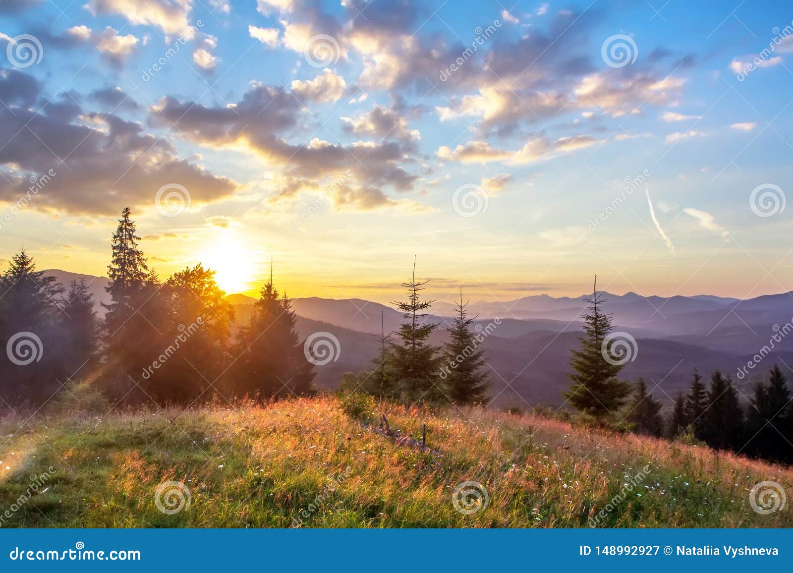 Sunset in the Mountains, Glade with Green Grass in the Rays of the Sun ...