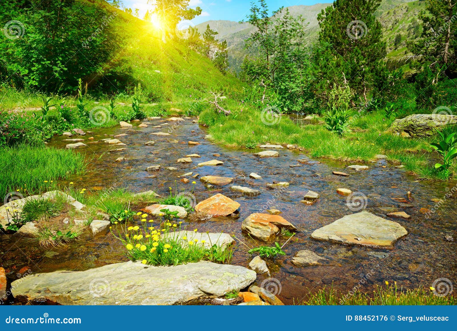 Sunset in Mountains and Stream Stock Photo - Image of beautiful, green ...