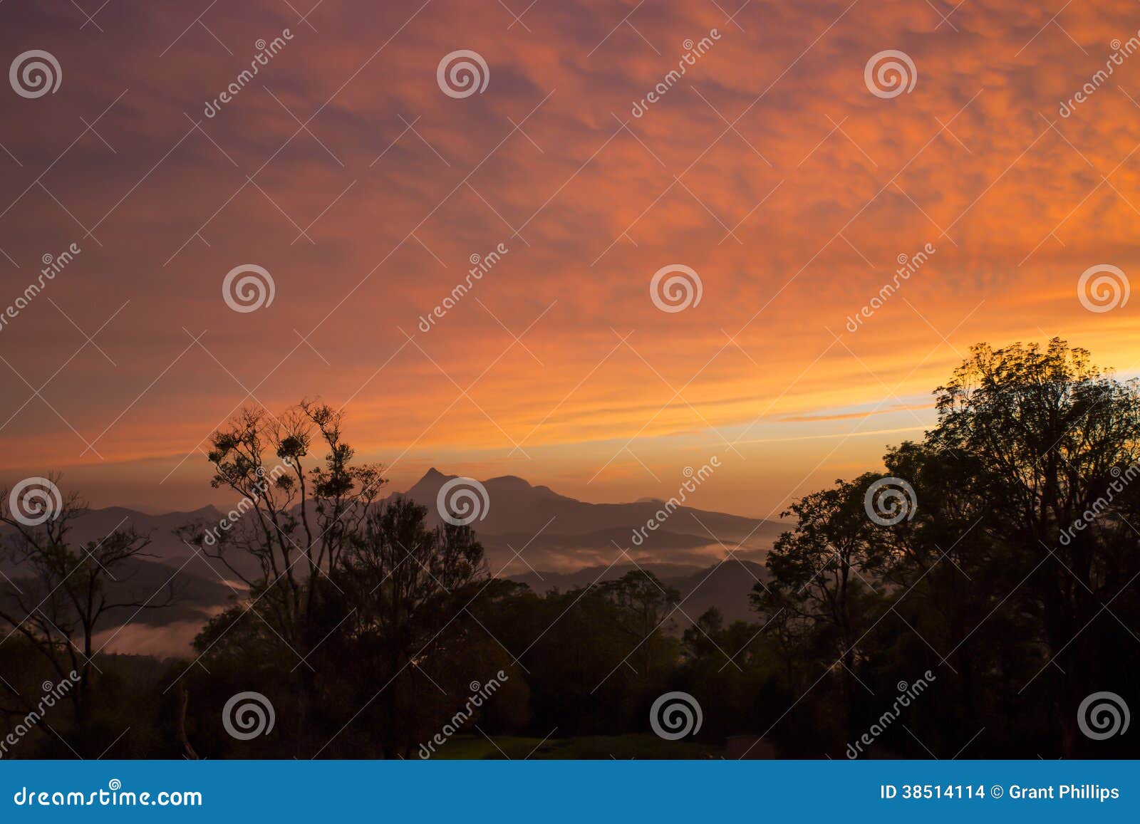 Sunset at Mt Warning stock photo. Image of caldera, murwillumbah - 38514114