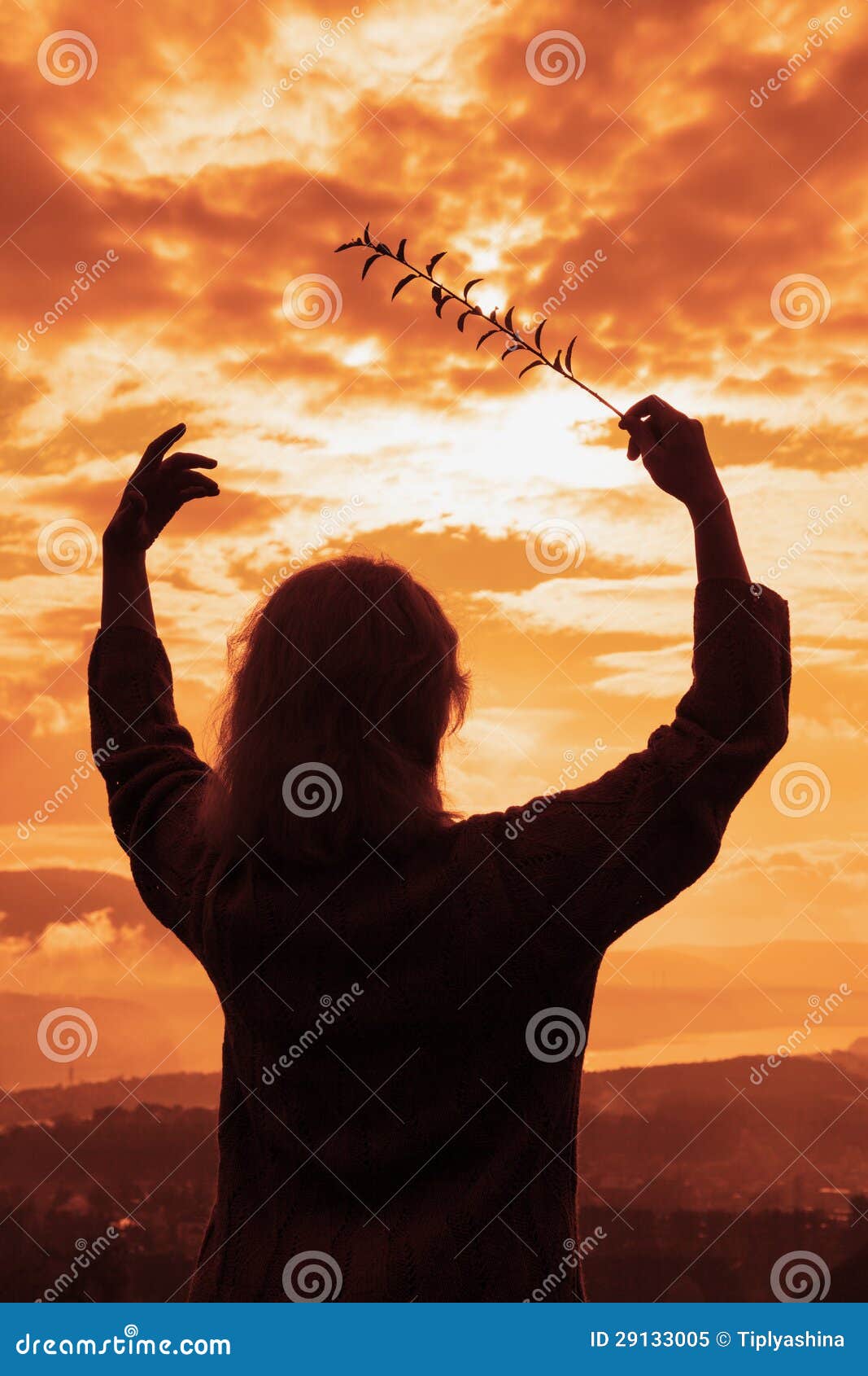 Sunset music stock image. Image of nature, joyful, passion - 29133005