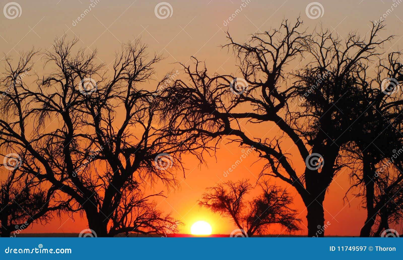 Sunset in Namibia stock image. Image of south, scenery - 11749597
