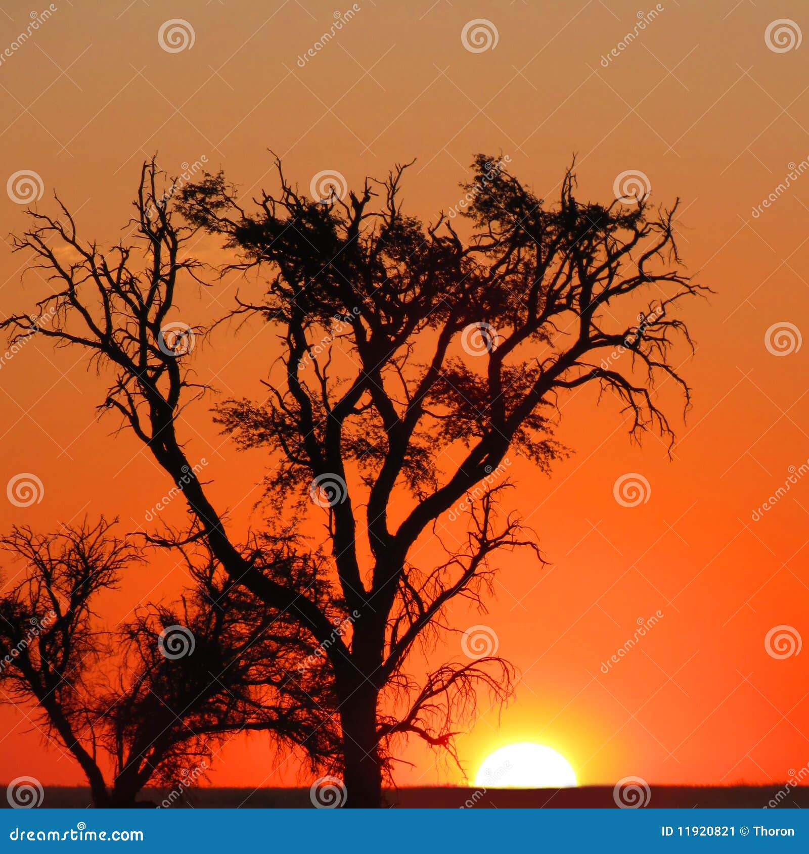 Sunset in Namibia stock image. Image of dusk, africa - 11920821