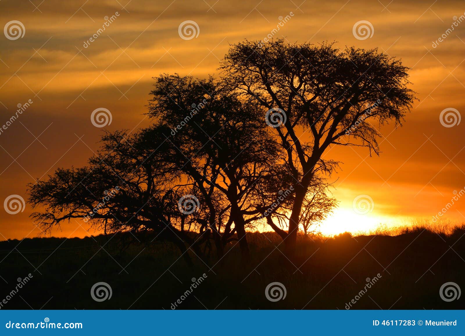 Sunset in Namibia stock image. Image of light, african - 46117283