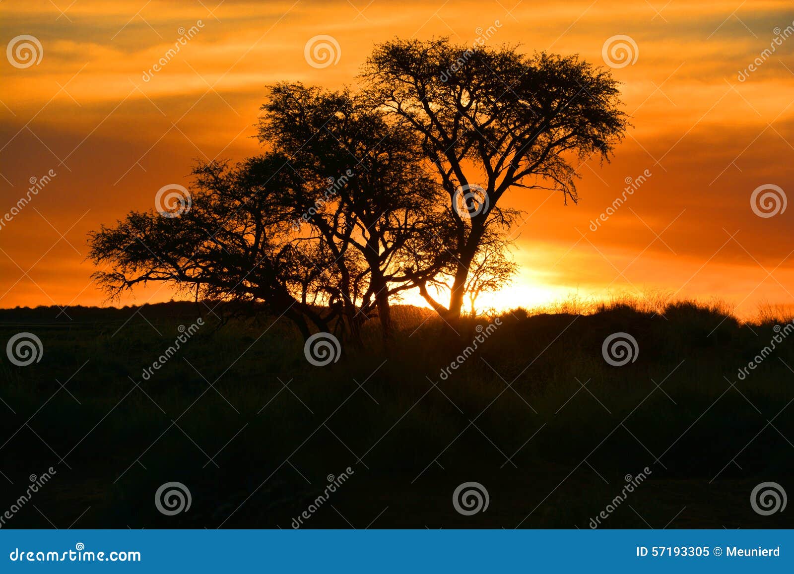 Sunset in Namibia stock image. Image of scenery, landscape - 57193305