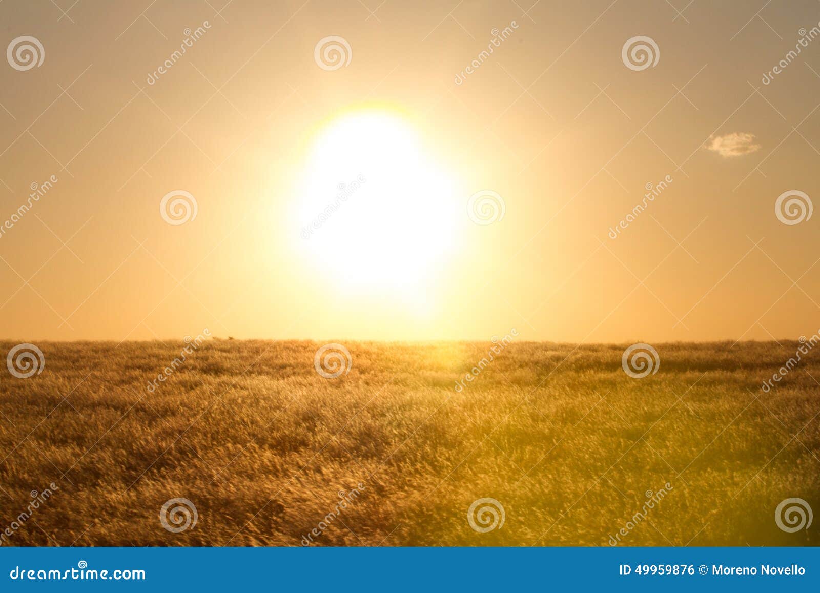 Sunset in Namibia stock photo. Image of small, sunlight - 49959876