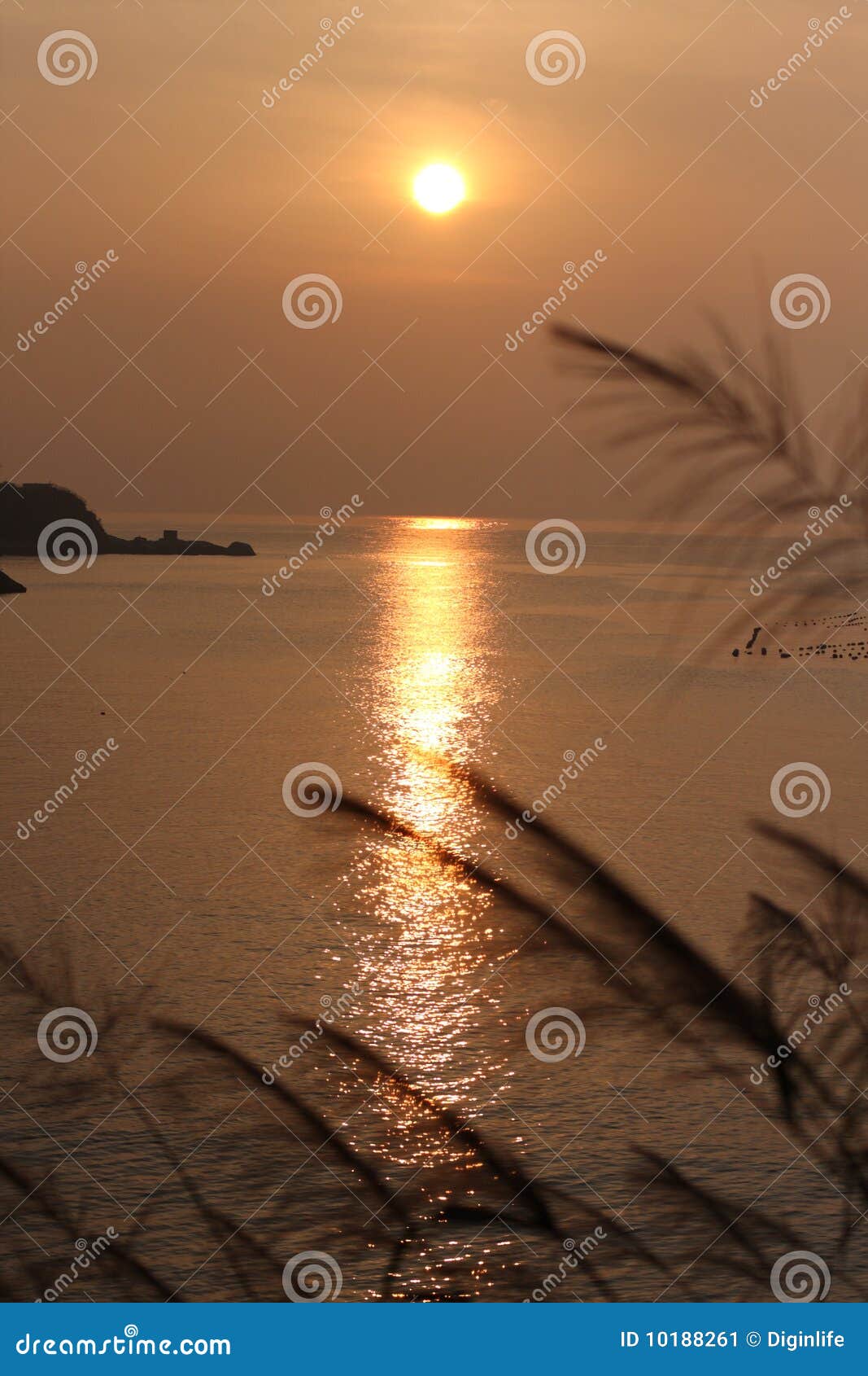 Nanji Island Stock Photos - Free & Royalty-Free Stock Photos from ...