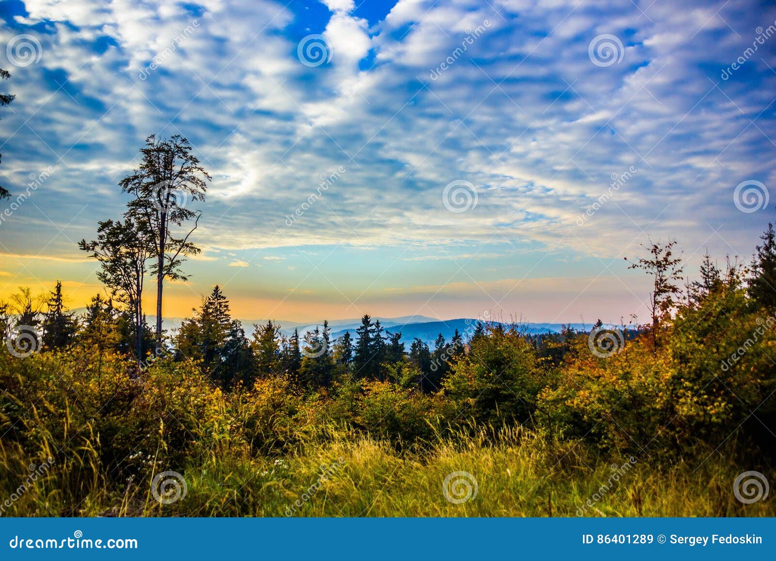 Sunset in Sumava Forest. Czech Republic. Stock Image - Image of meadow ...