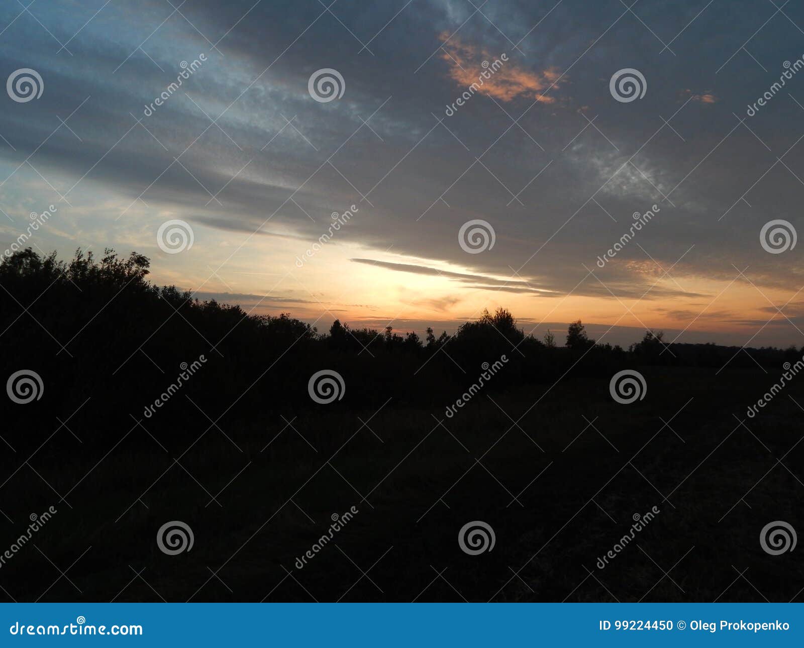 Sunset on Nature Forest and Fields Stock Photo - Image of pasture, tree ...