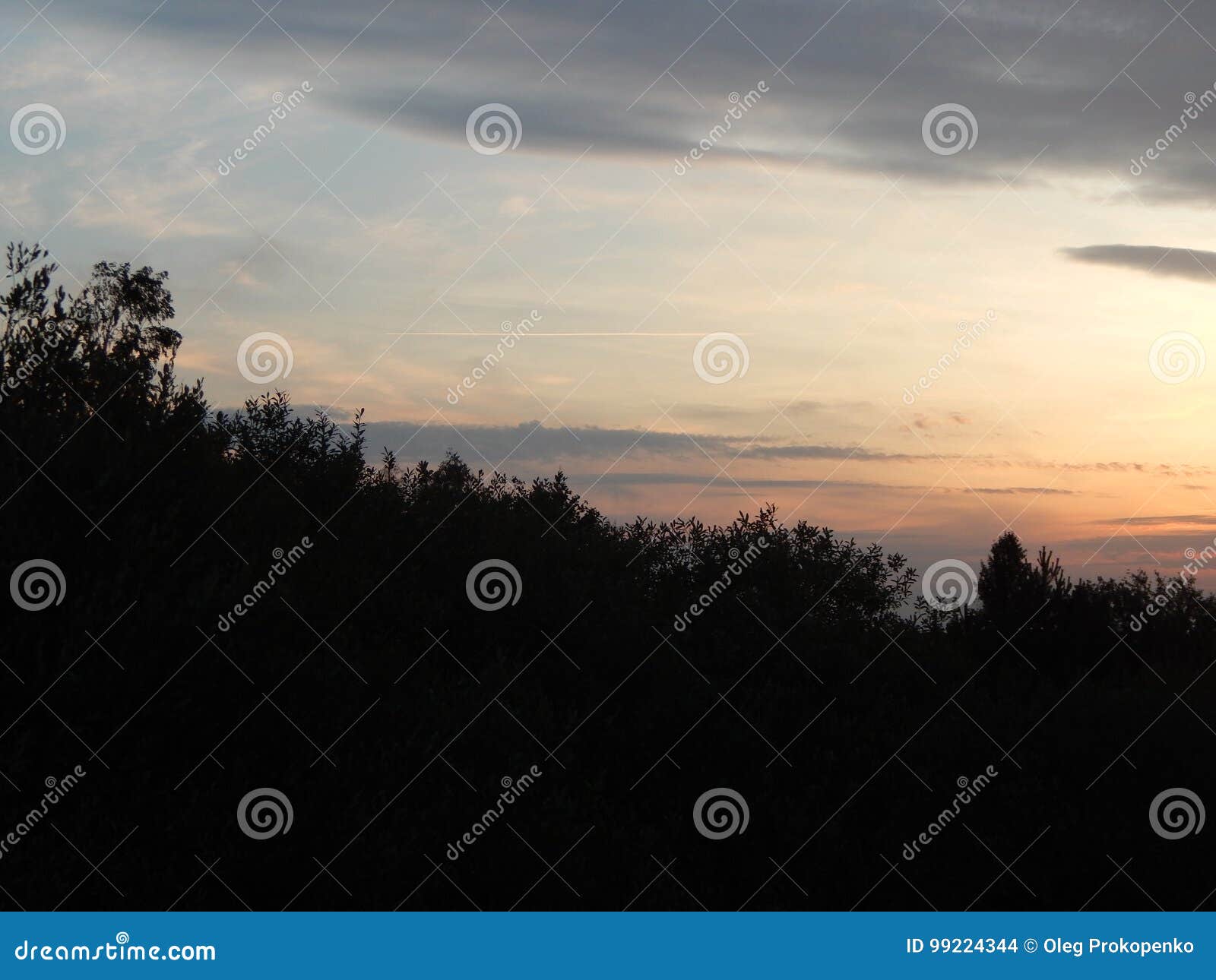 Sunset on Nature Forest and Fields Stock Photo - Image of rural, nature ...