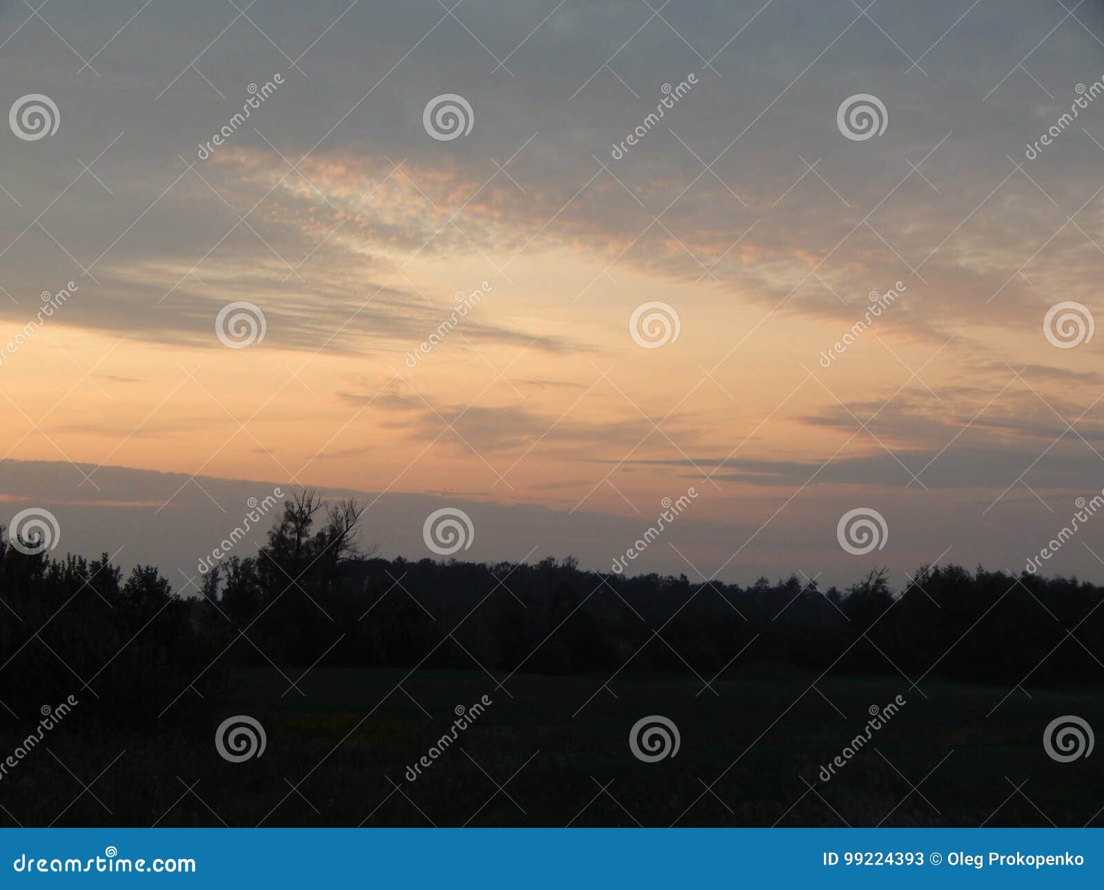 Sunset on Nature Forest and Fields Stock Image - Image of nature ...