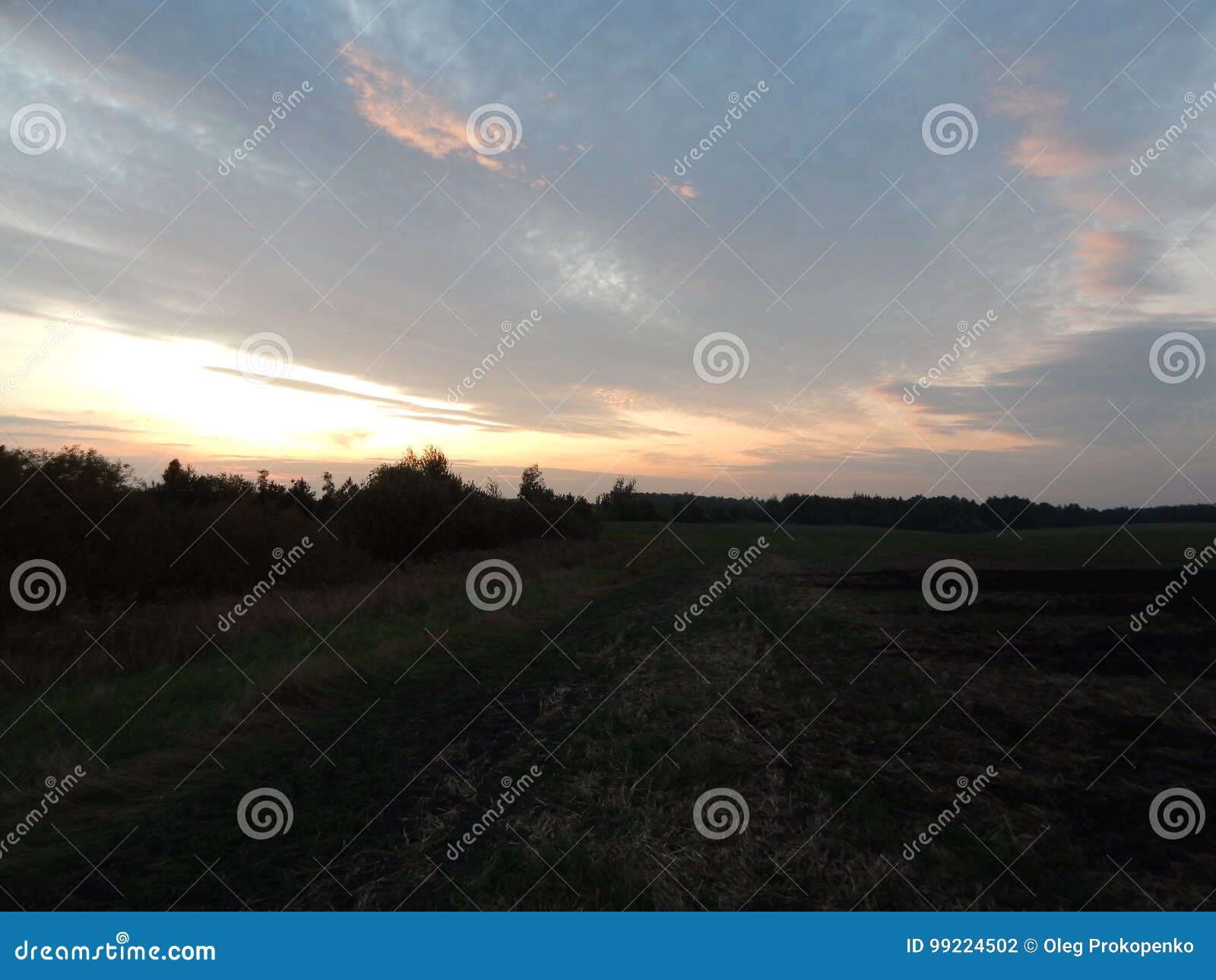 Sunset on Nature Forest and Fields Stock Photo - Image of field, rural ...
