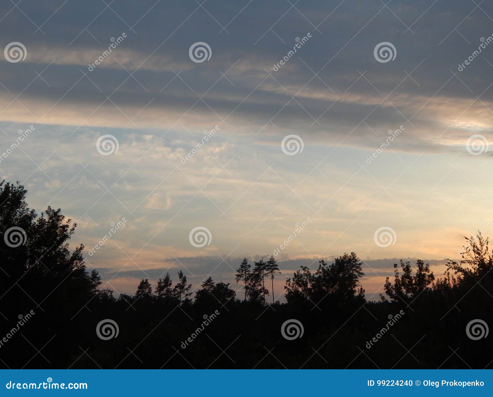 Sunset on Nature Forest and Fields Stock Photo - Image of road ...