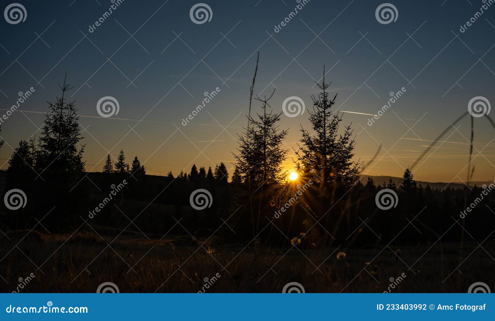 Sunset on the Nature. Sun is Captive between the Trees Stock Photo ...