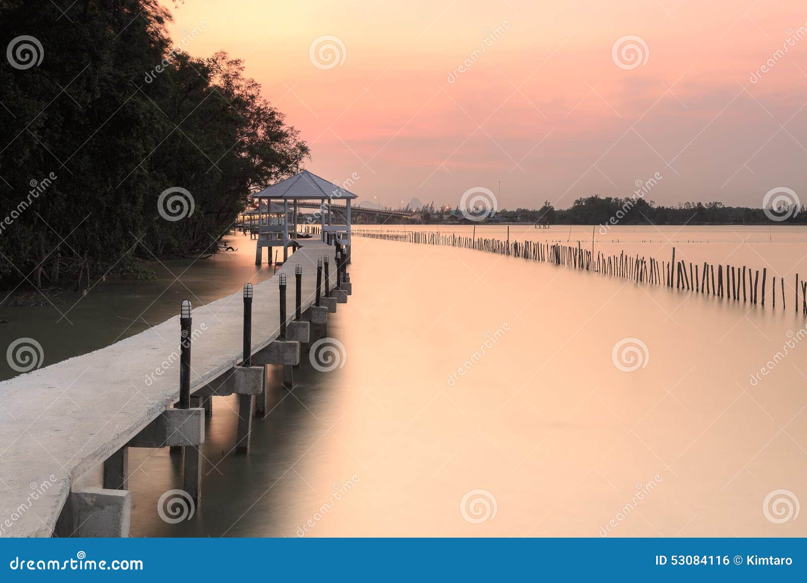 Sunset at Nature Trails Bridge in Thailand Stock Photo - Image of ...