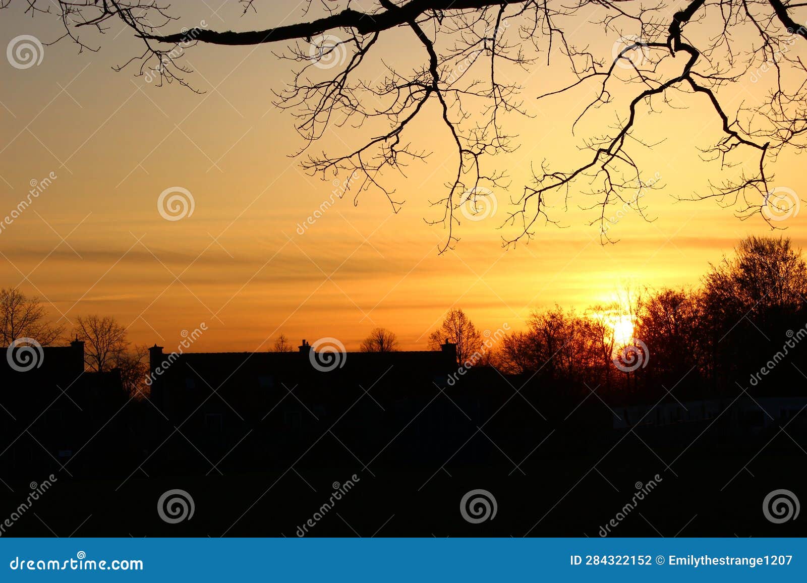 Sunset Nature Trees Couture Stock Photo - Image of trees, sunset: 284322152