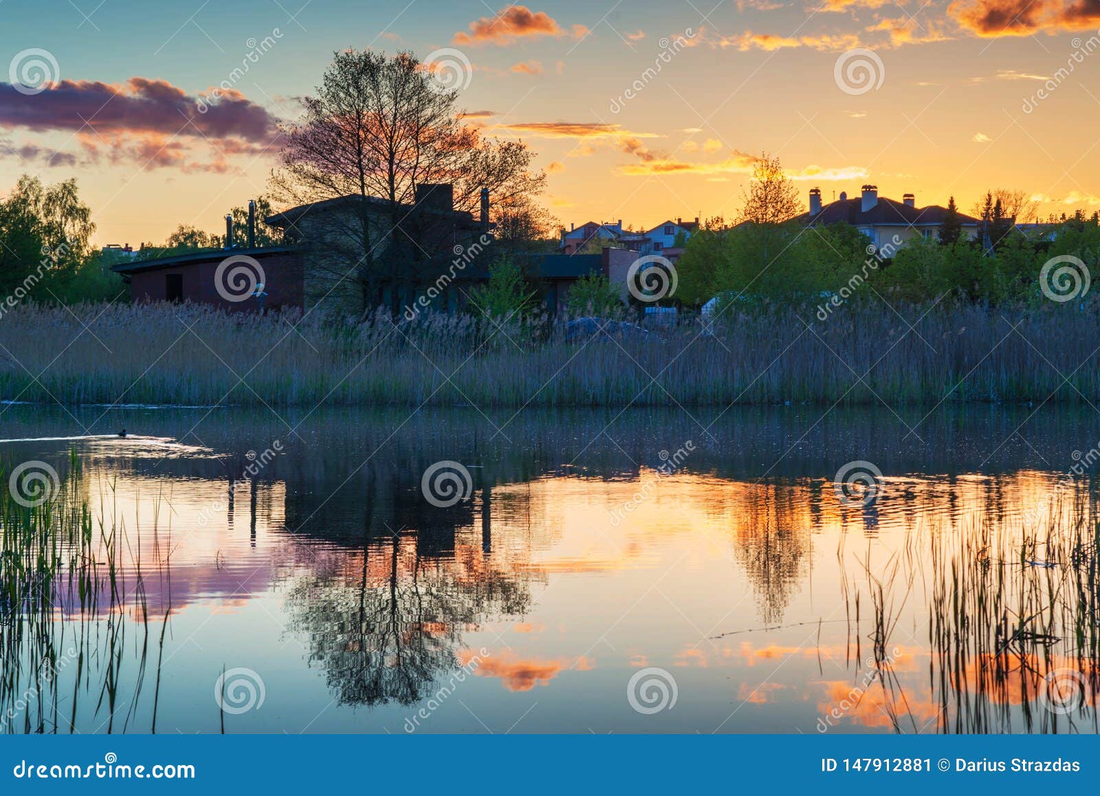 Sunset near lake stock image. Image of nature, landscape - 147912881