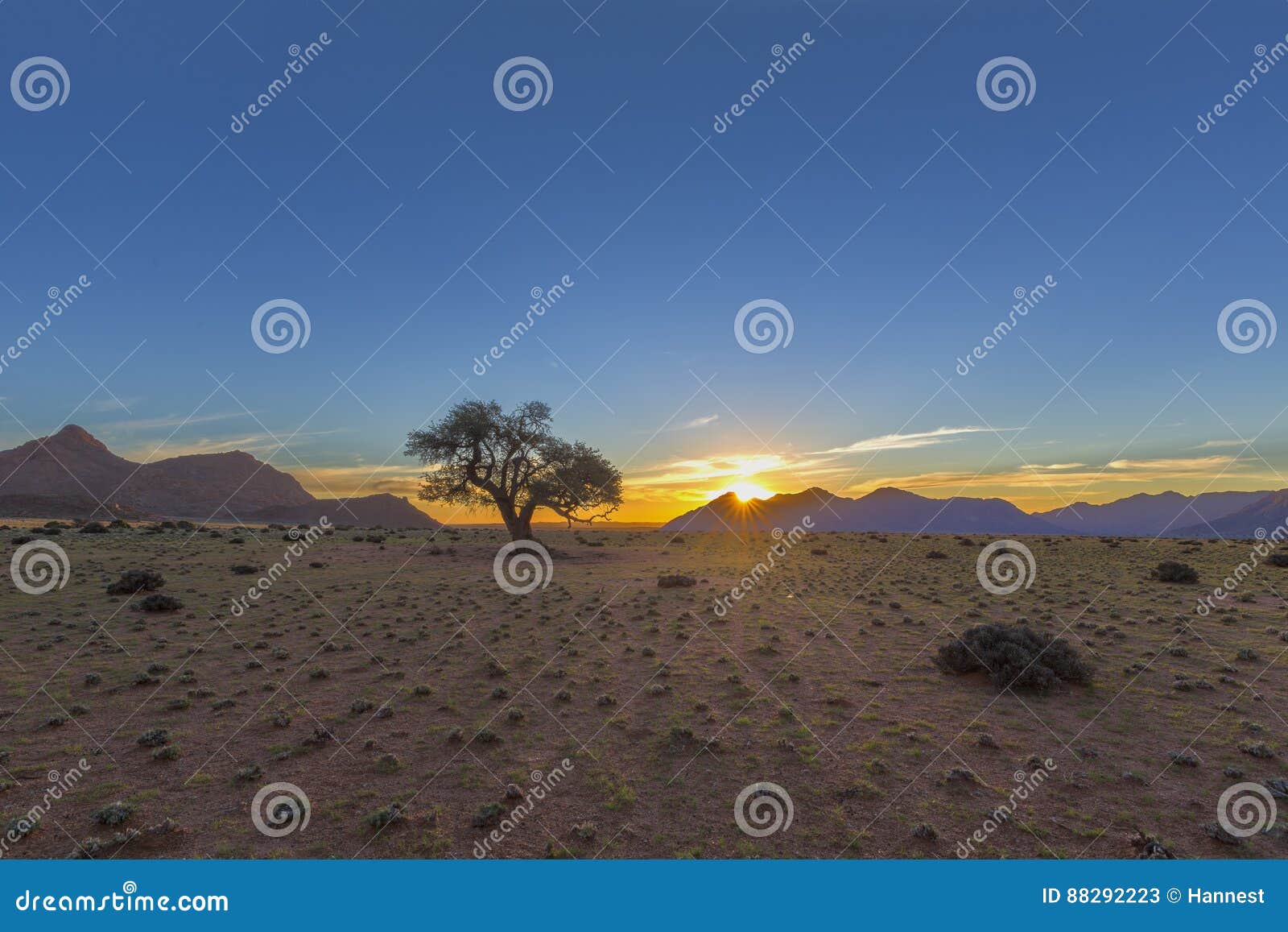 Sunset with New Green Grass Stock Image - Image of sunny, sunshine ...
