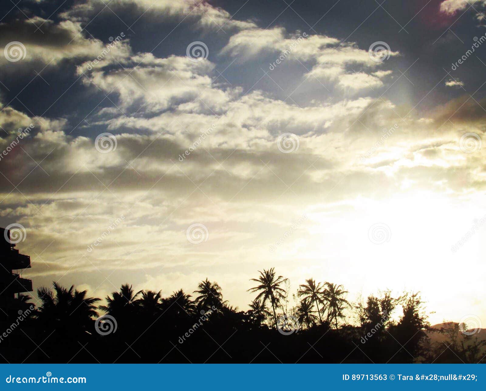 Sunset stock image. Image of clouds, nature, trees, sunset - 89713563