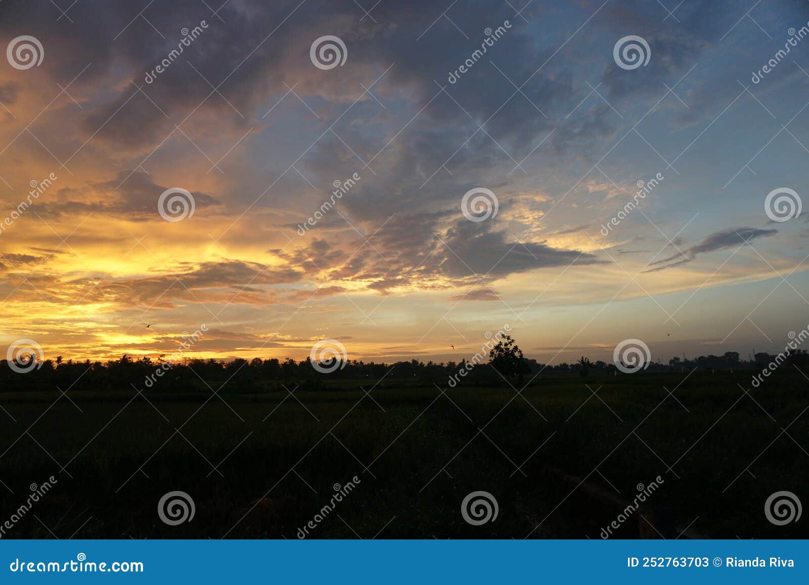 Sunset stock image. Image of time, miss, sunset, long - 252763703