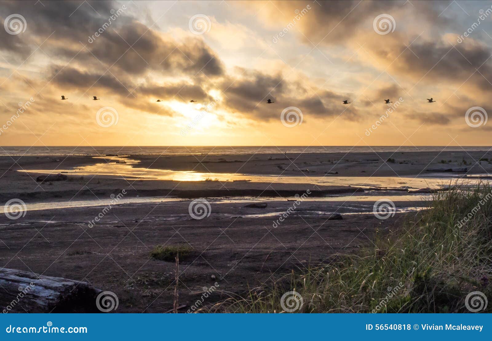 Sunset at an ocean beach stock photo. Image of horizon - 56540818