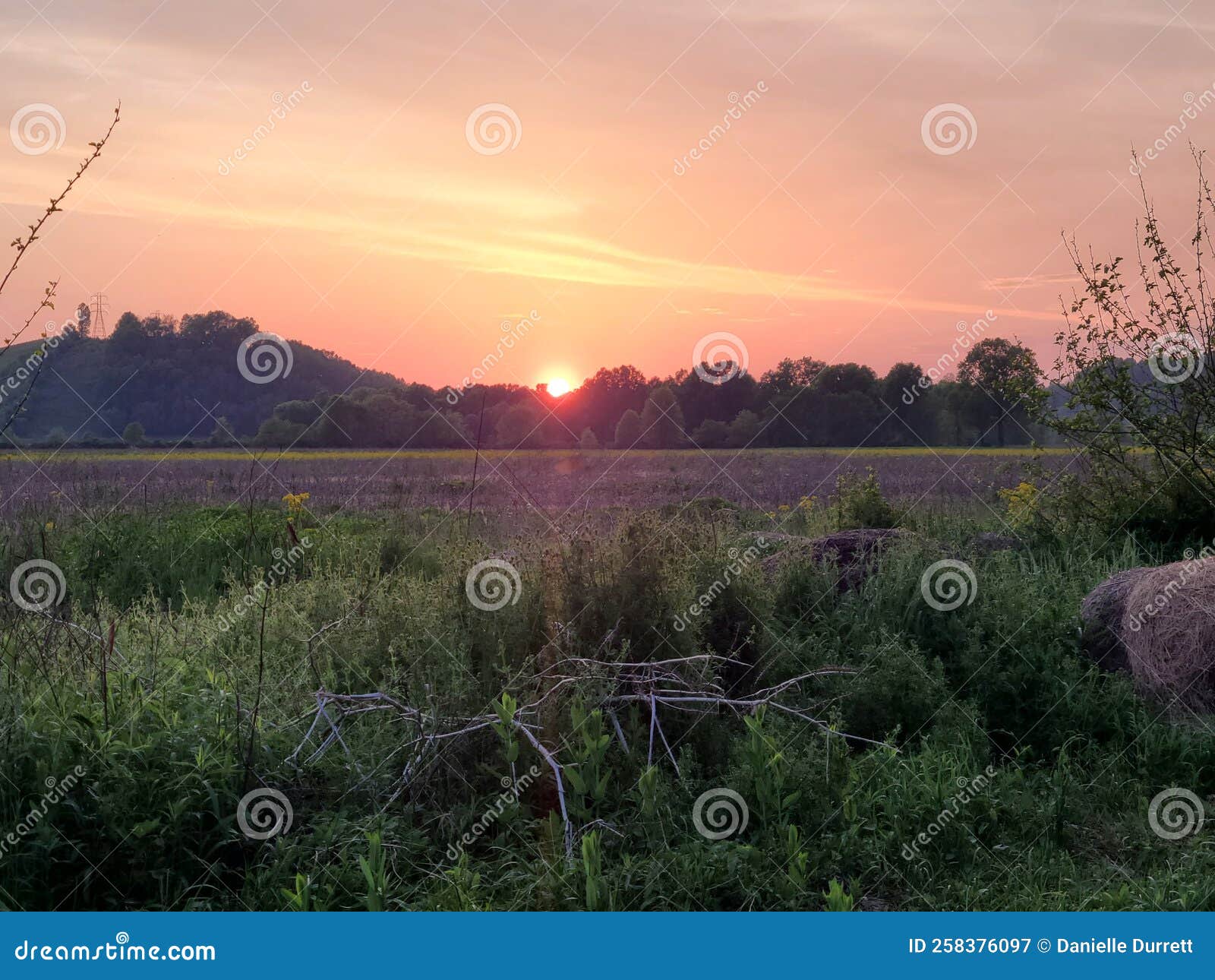 Sunset in Ohio stock image. Image of tree, hill, field - 258376097