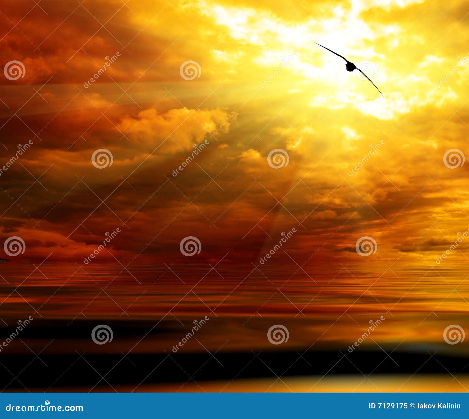 Sunset in open sea stock image. Image of landscape, sunlight - 7129175
