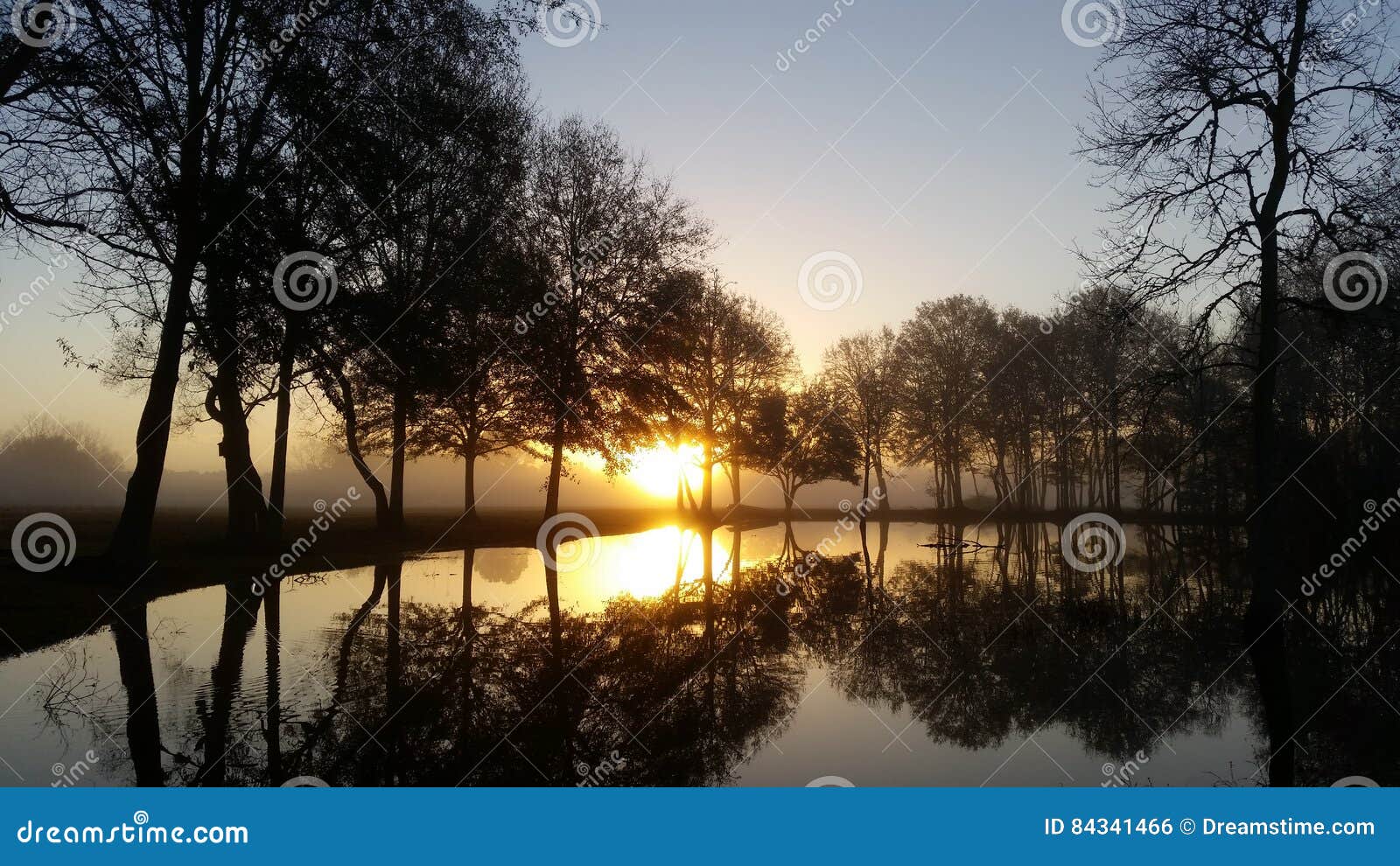 Sunset on our pond stock photo. Image of wetland, pond - 84341466