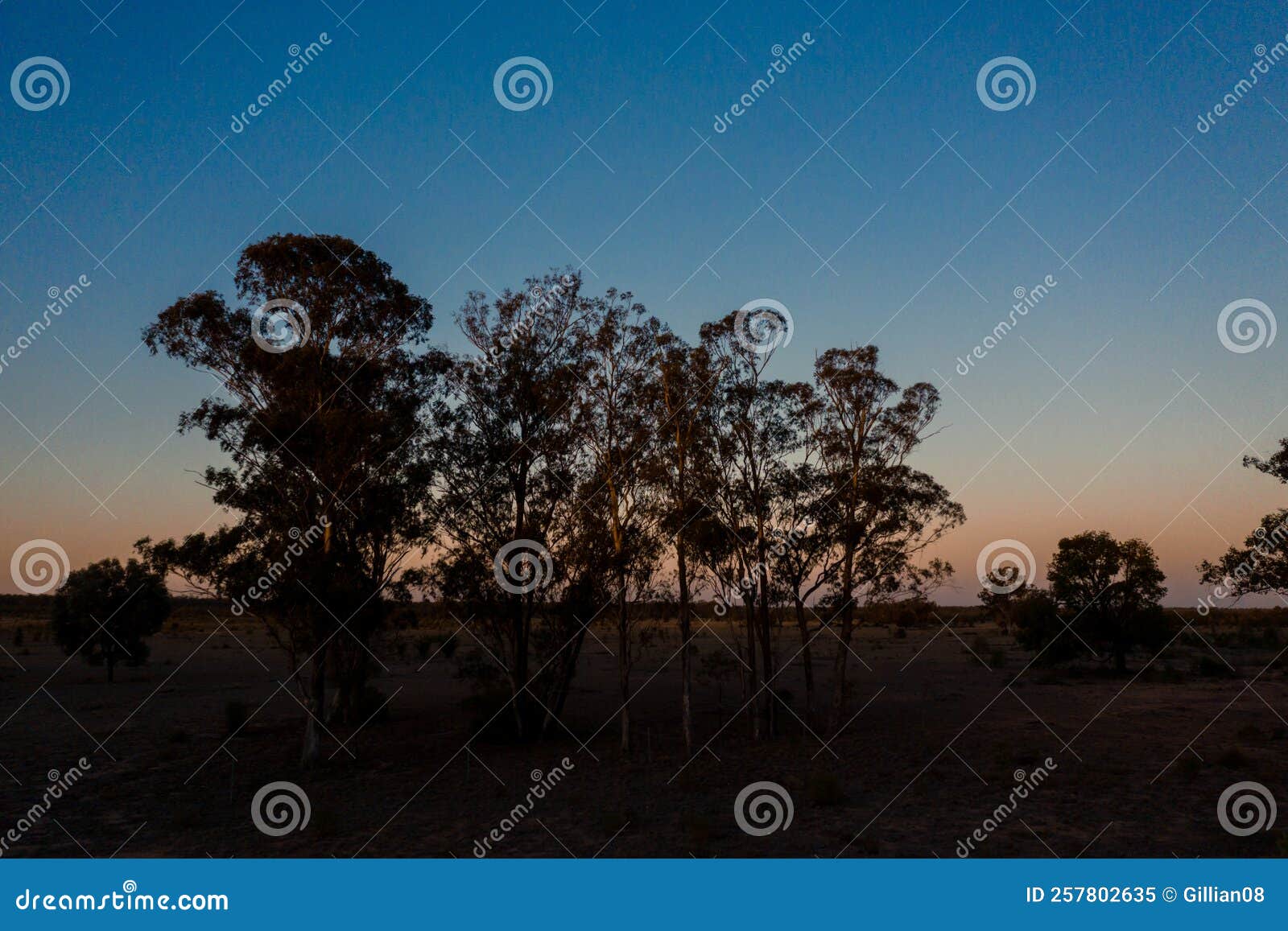 Sunset in the outback stock image. Image of sunset, silhouette - 257802635