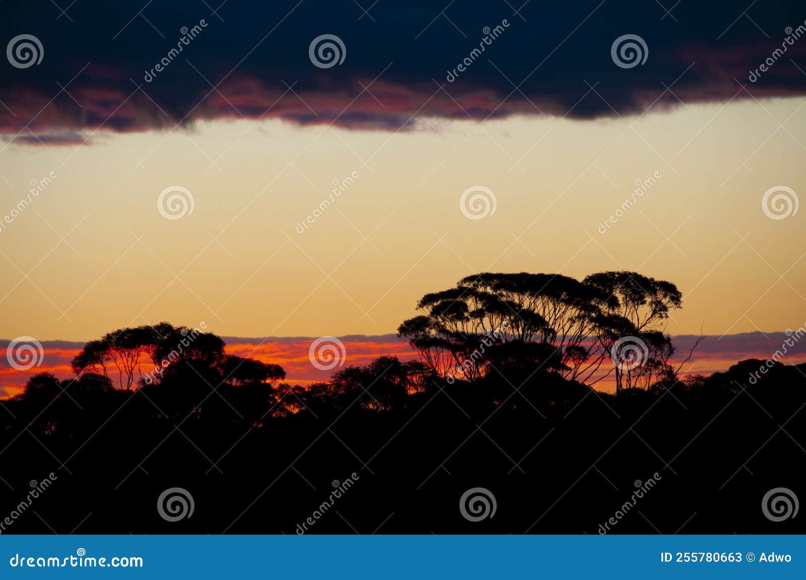 Sunset in the Outback stock image. Image of sunrise - 255780663