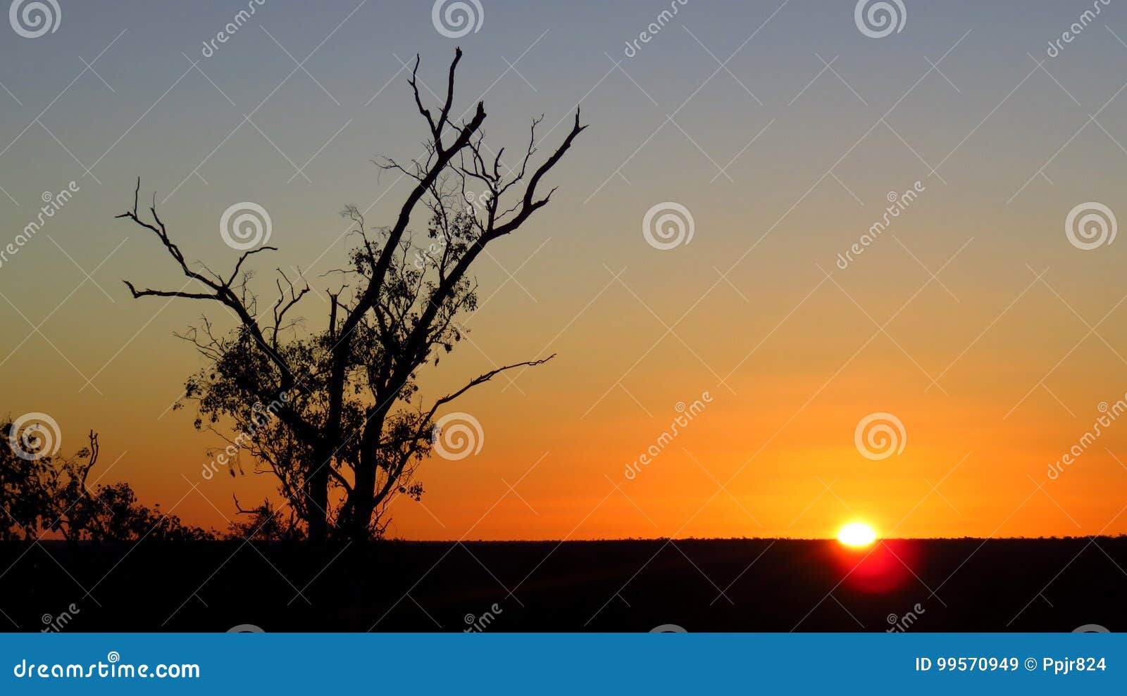 Sunset in the Outback with a Clear Sky Stock Image - Image of horizon ...