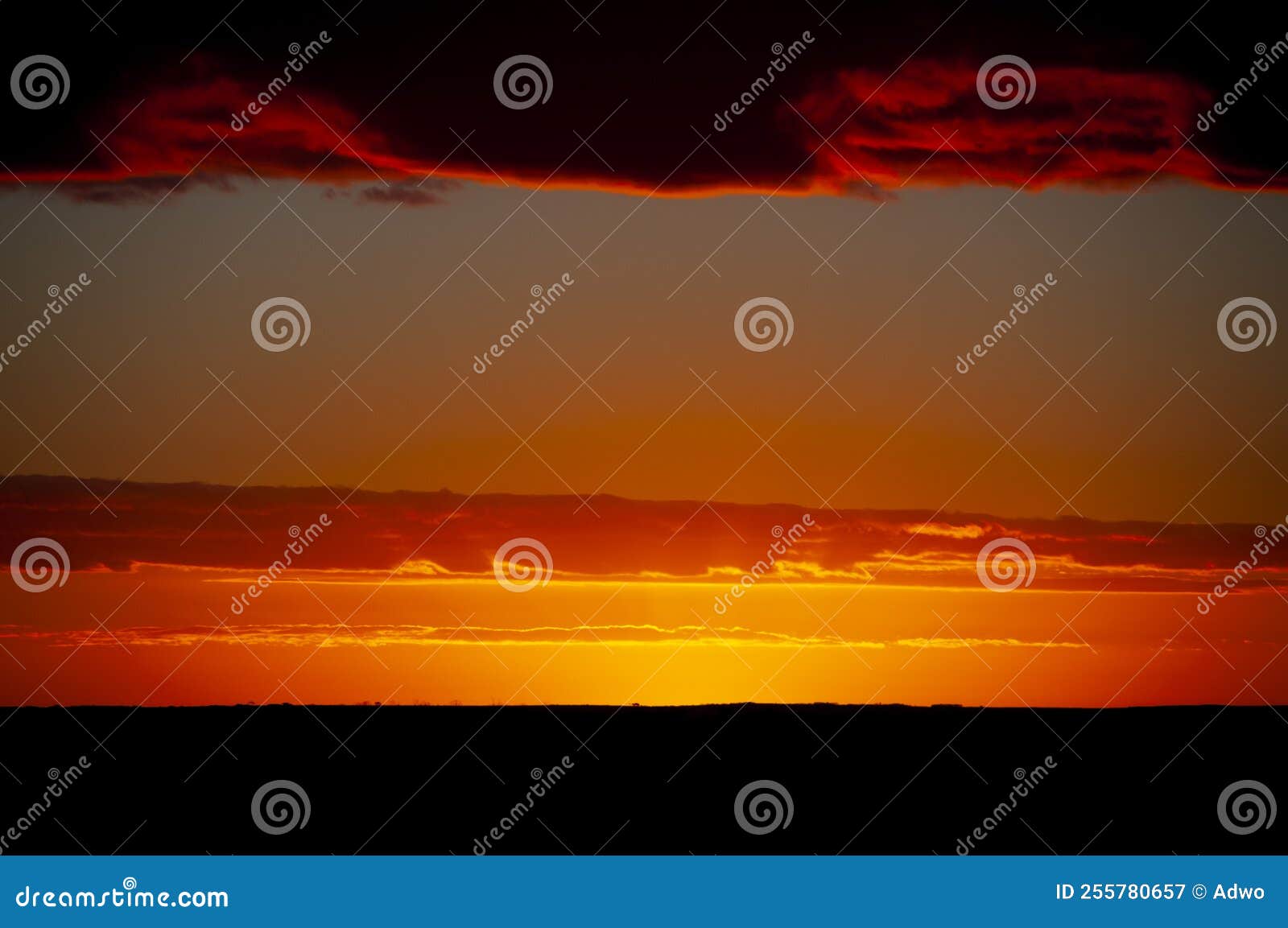 Sunset in the Outback stock image. Image of rural, eucalyptus - 255780657
