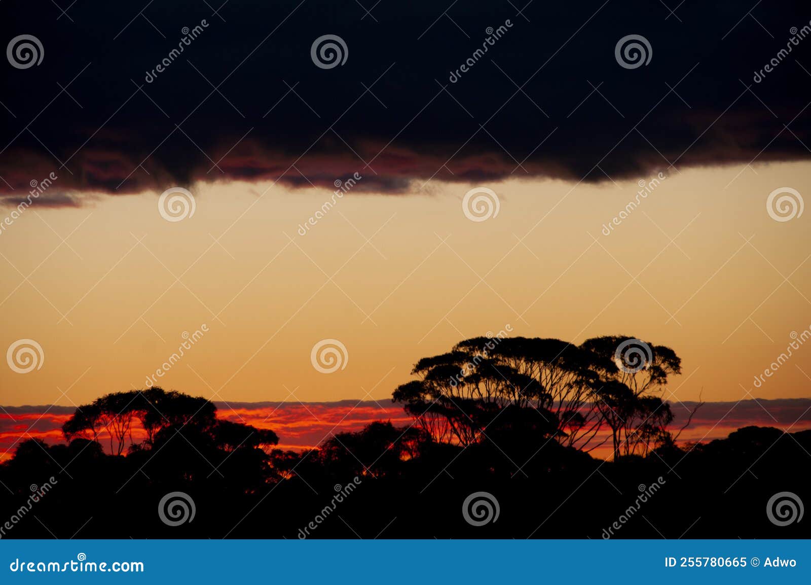 Sunset in the Outback stock image. Image of field, travel - 255780665