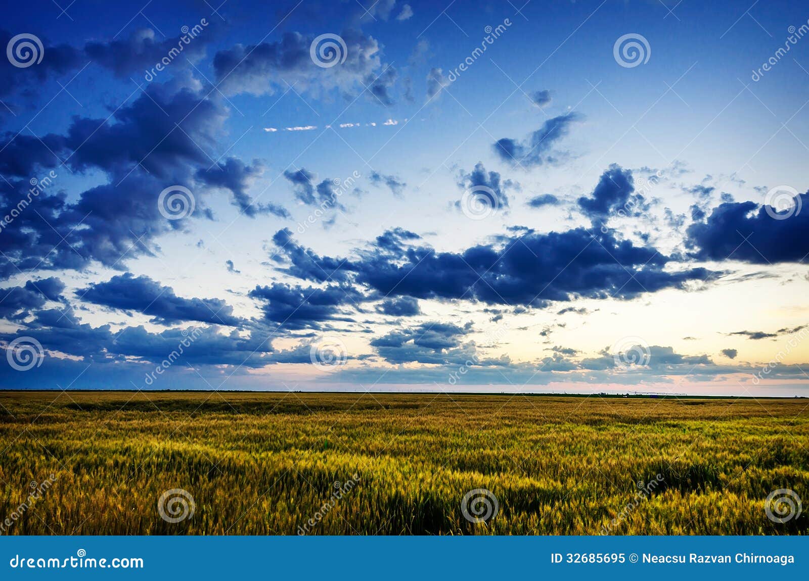 Sunset Over Agricultural Field Stock Image - Image of horizontal, crop ...