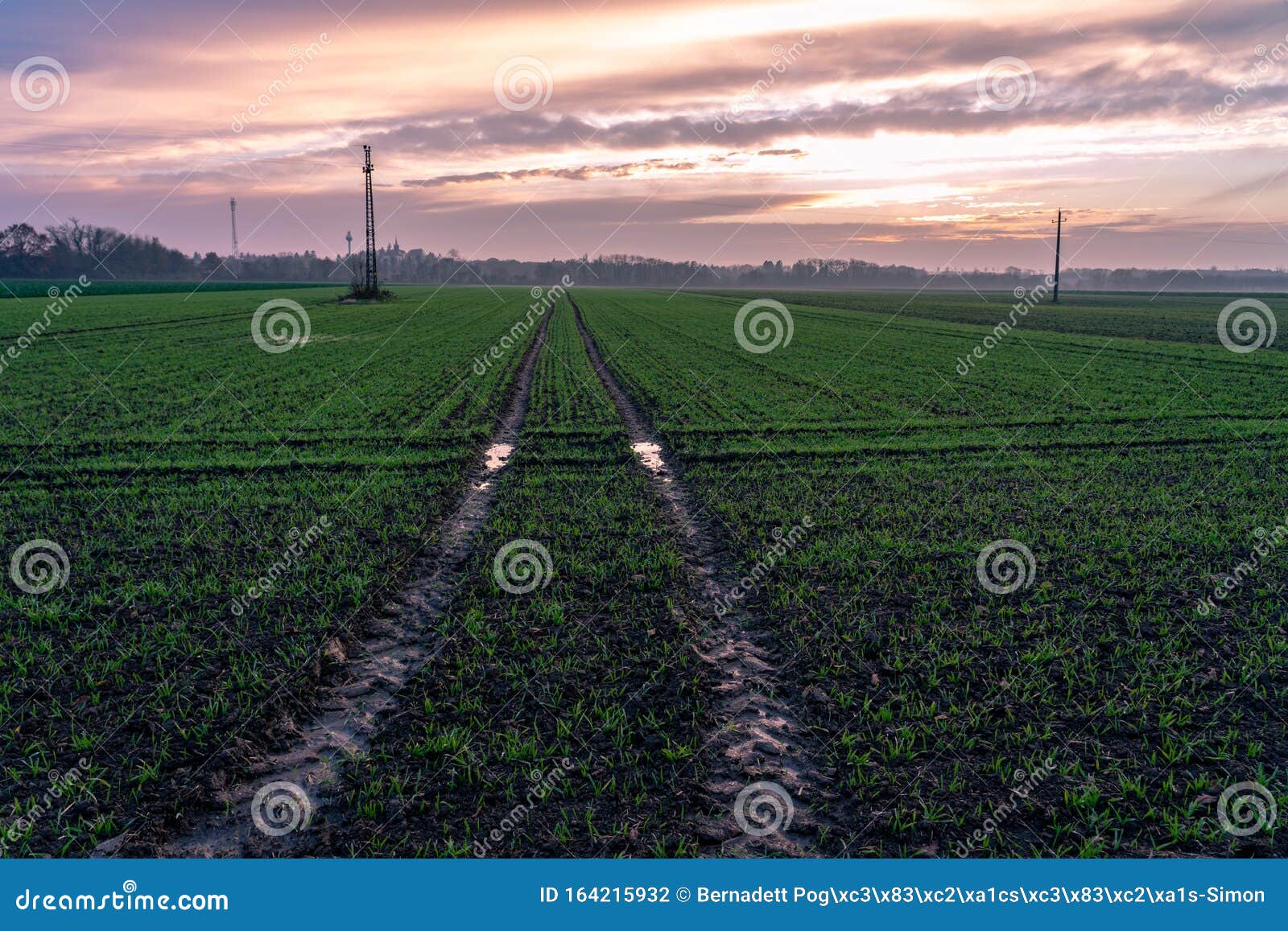 Sunset Over Agricultural Fields with Tractor Tire Path Stock Photo ...