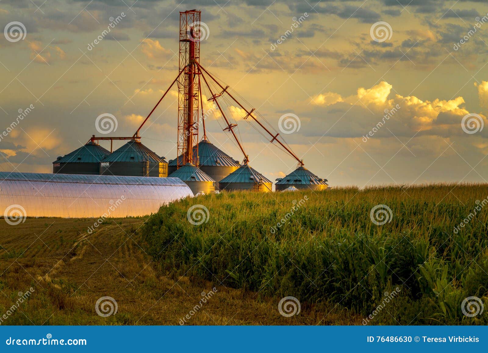 Sunset Over Agricultural Silos Stock Photo - Image of harvest, grain ...