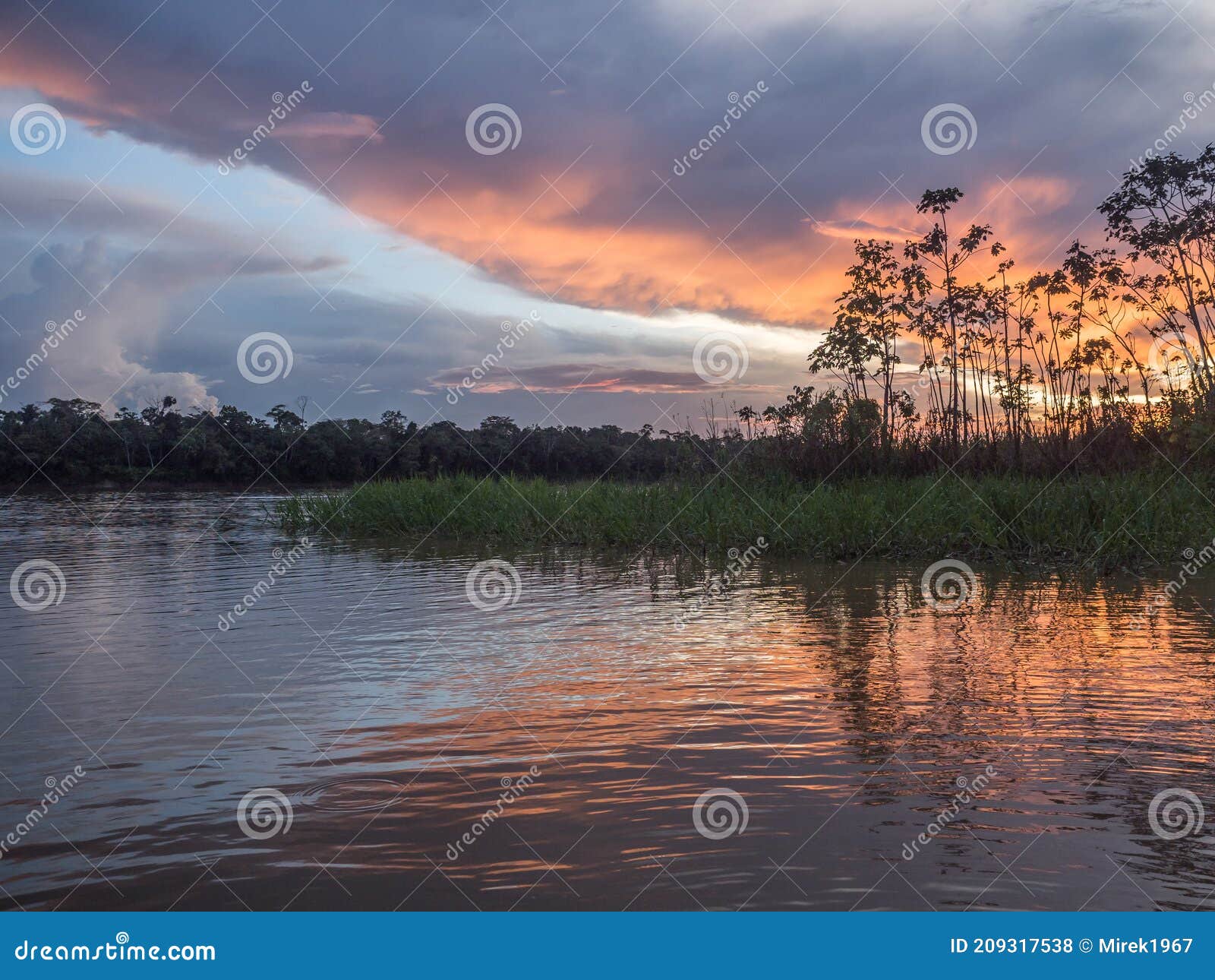 Sunset over Amazon stock photo. Image of bush, admire - 209317538