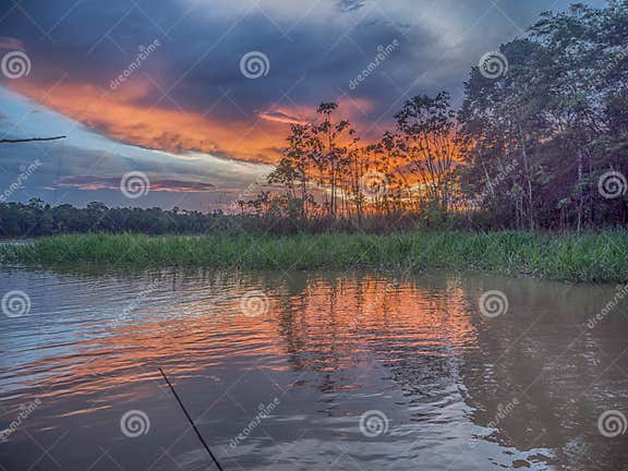 Sunset over Amazon stock photo. Image of indescribable - 209317976