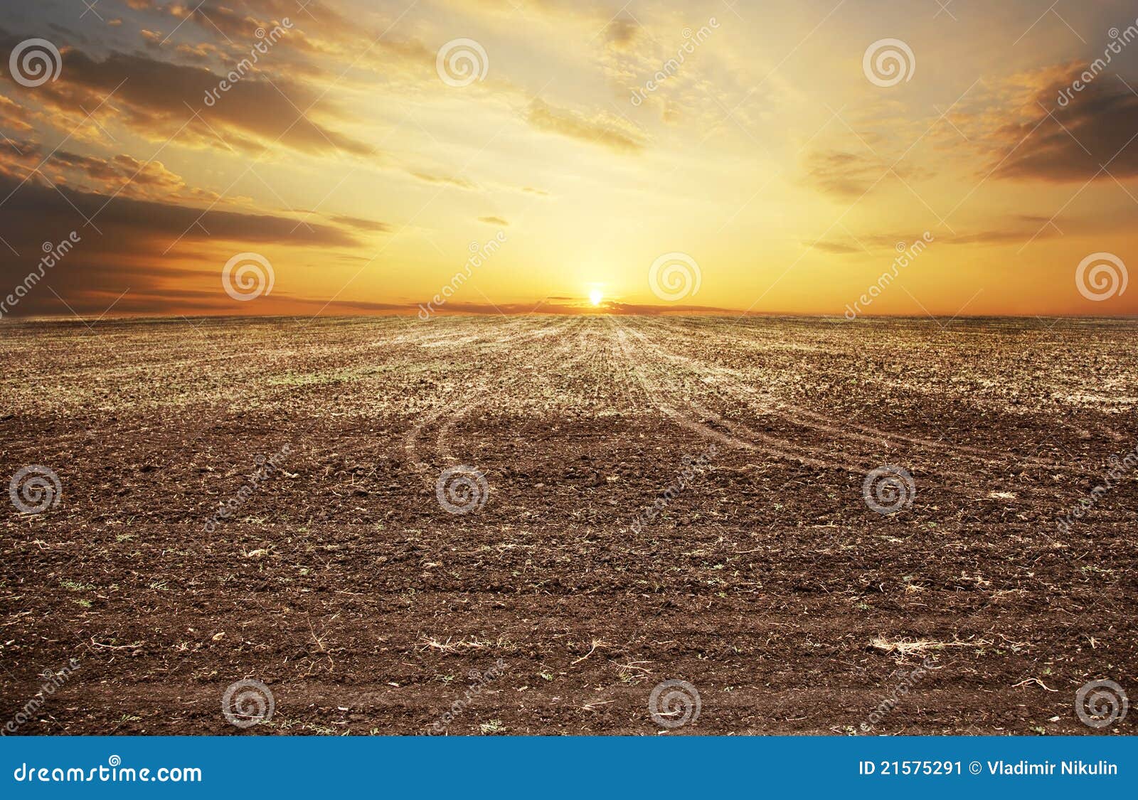 Sunset over autumn field. stock image. Image of rural - 21575291