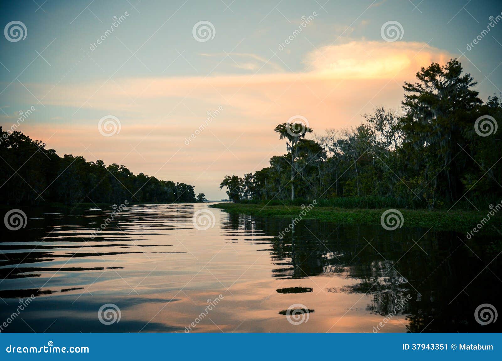 Sunset over the bayou stock image. Image of river, scenery - 37943351