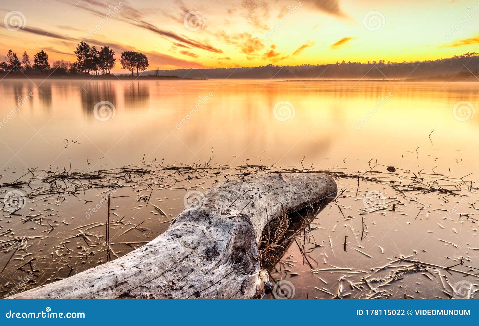 Sunset Over Calm Lake with Sunken Log Stock Photo - Image of edge ...
