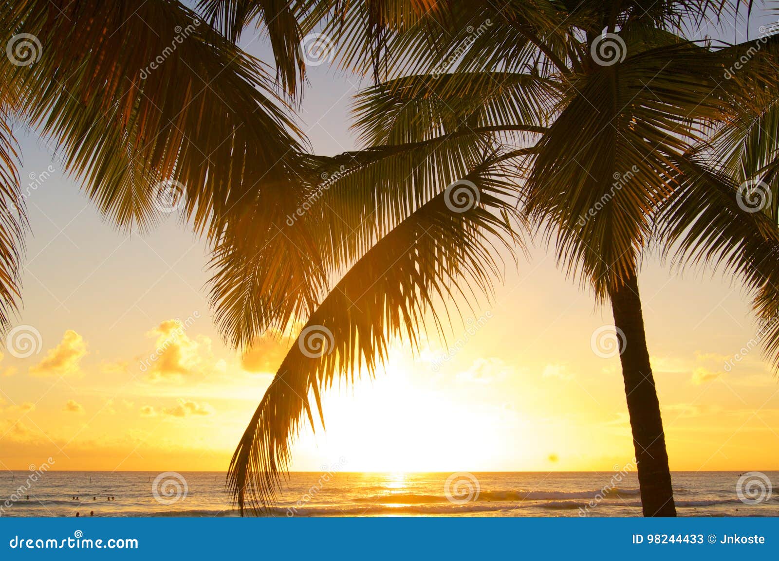 Sunset Over the Caribbean Beach Stock Image - Image of tropical, palm ...