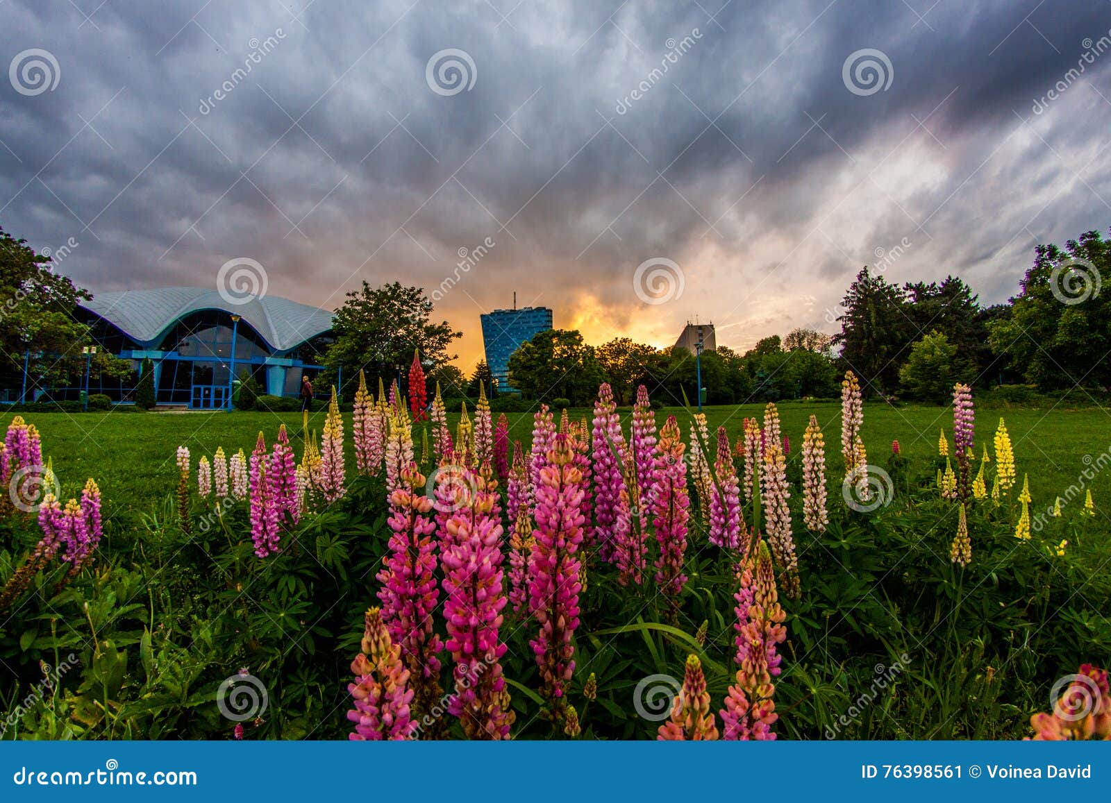 Sunset Over Circus PARK in Bucharest, Romania Stock Image - Image of ...