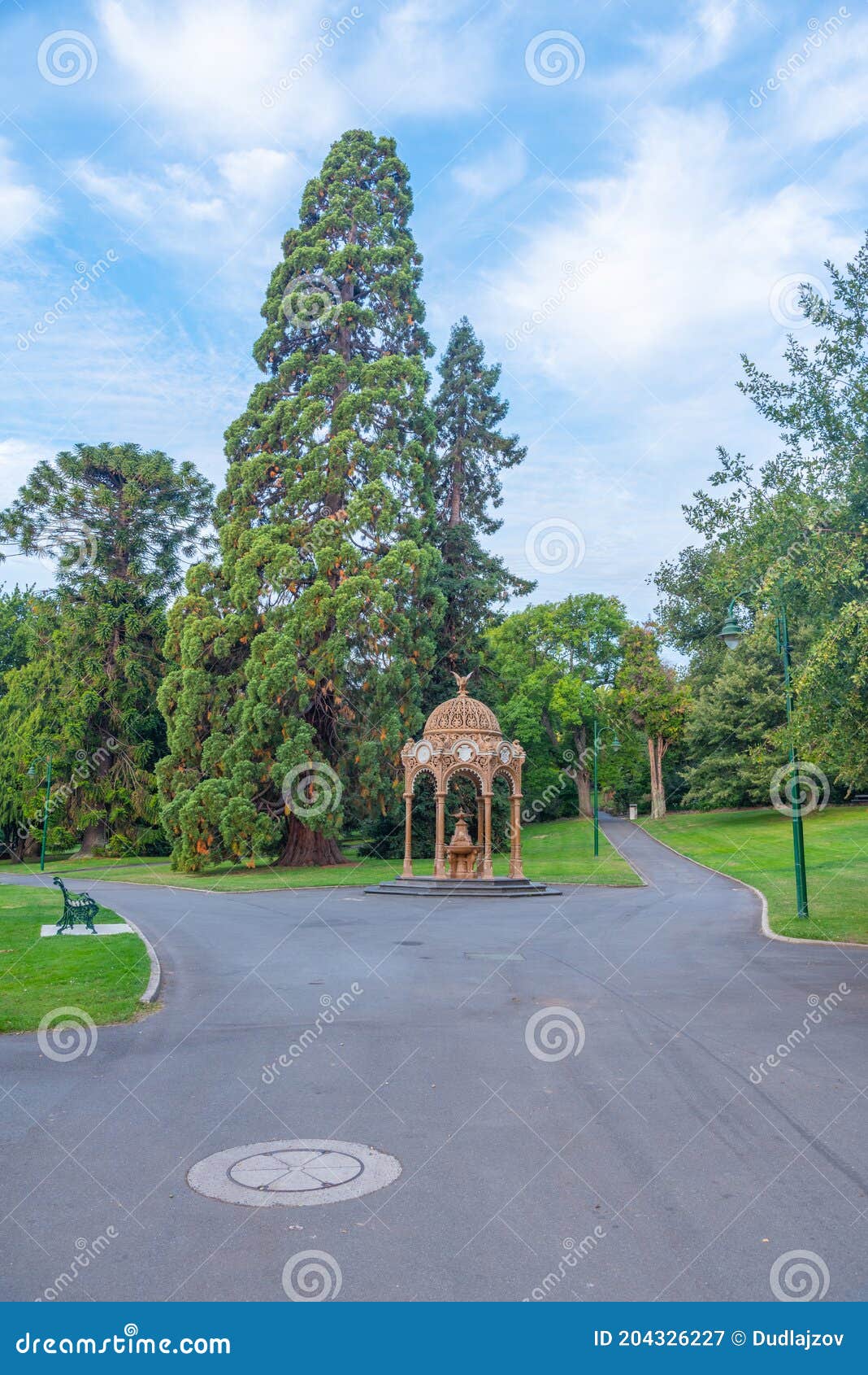 Sunset Over City Park in Launceston, Australia Stock Image - Image of ...