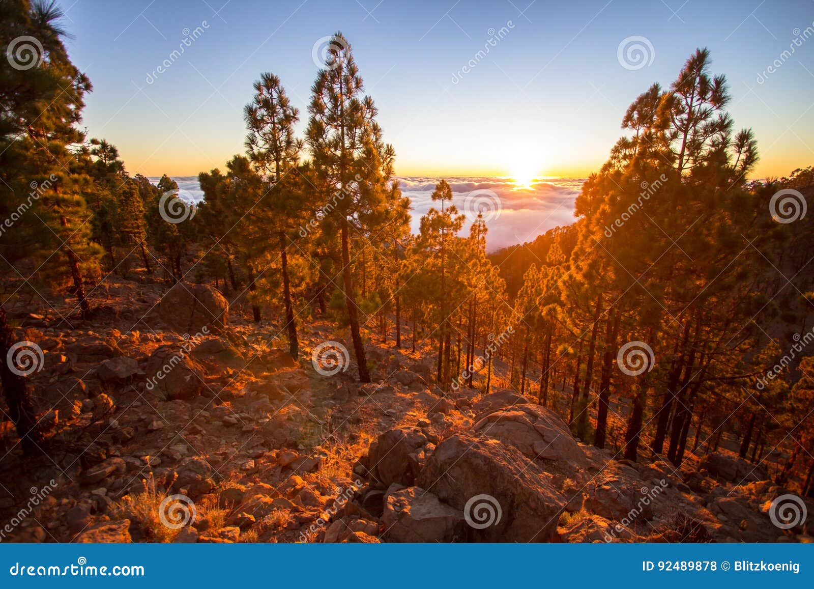 Sunset Over the Clouds in the Forest Stock Photo - Image of hoarfrost ...