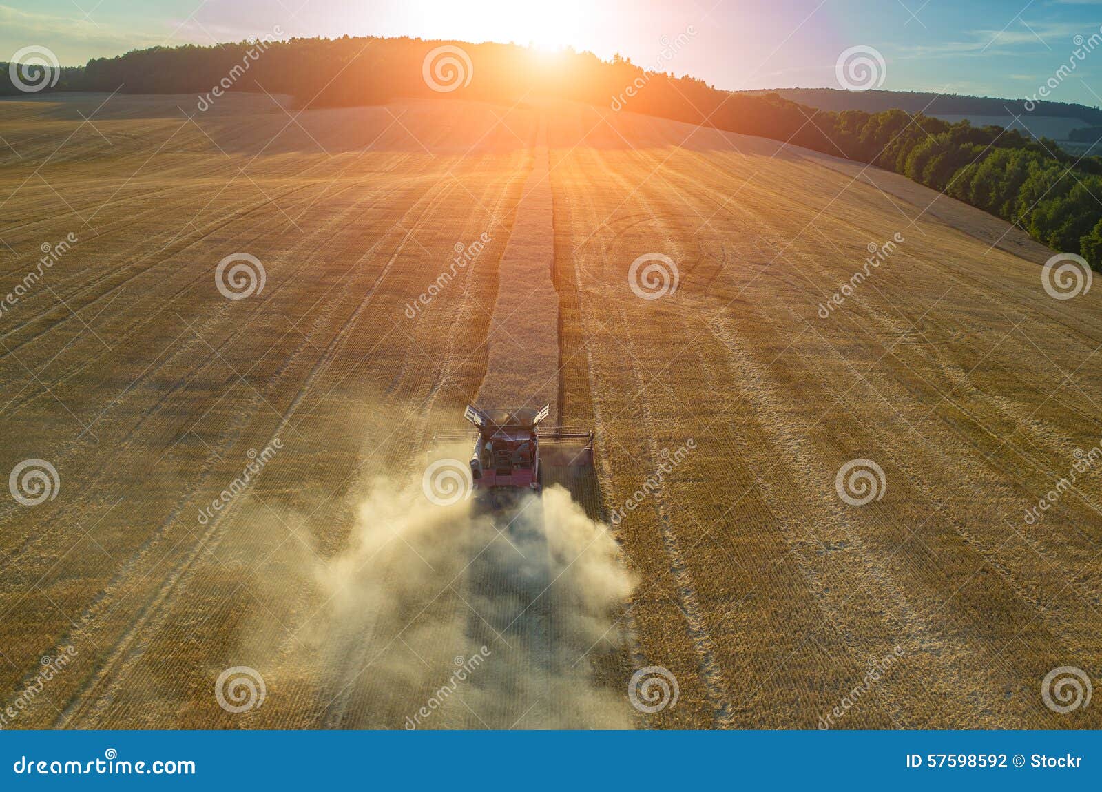 Sunset Over the Combine Working on the Field Stock Photo - Image of ...