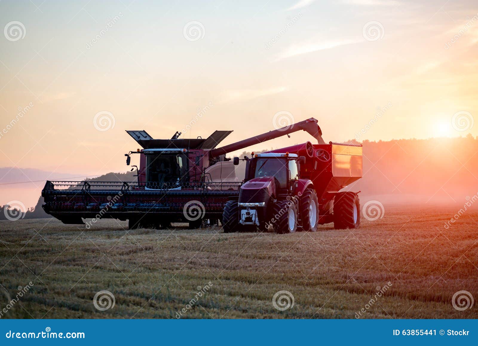Sunset Over the Combine Working on the Wheat Field Stock Image - Image ...