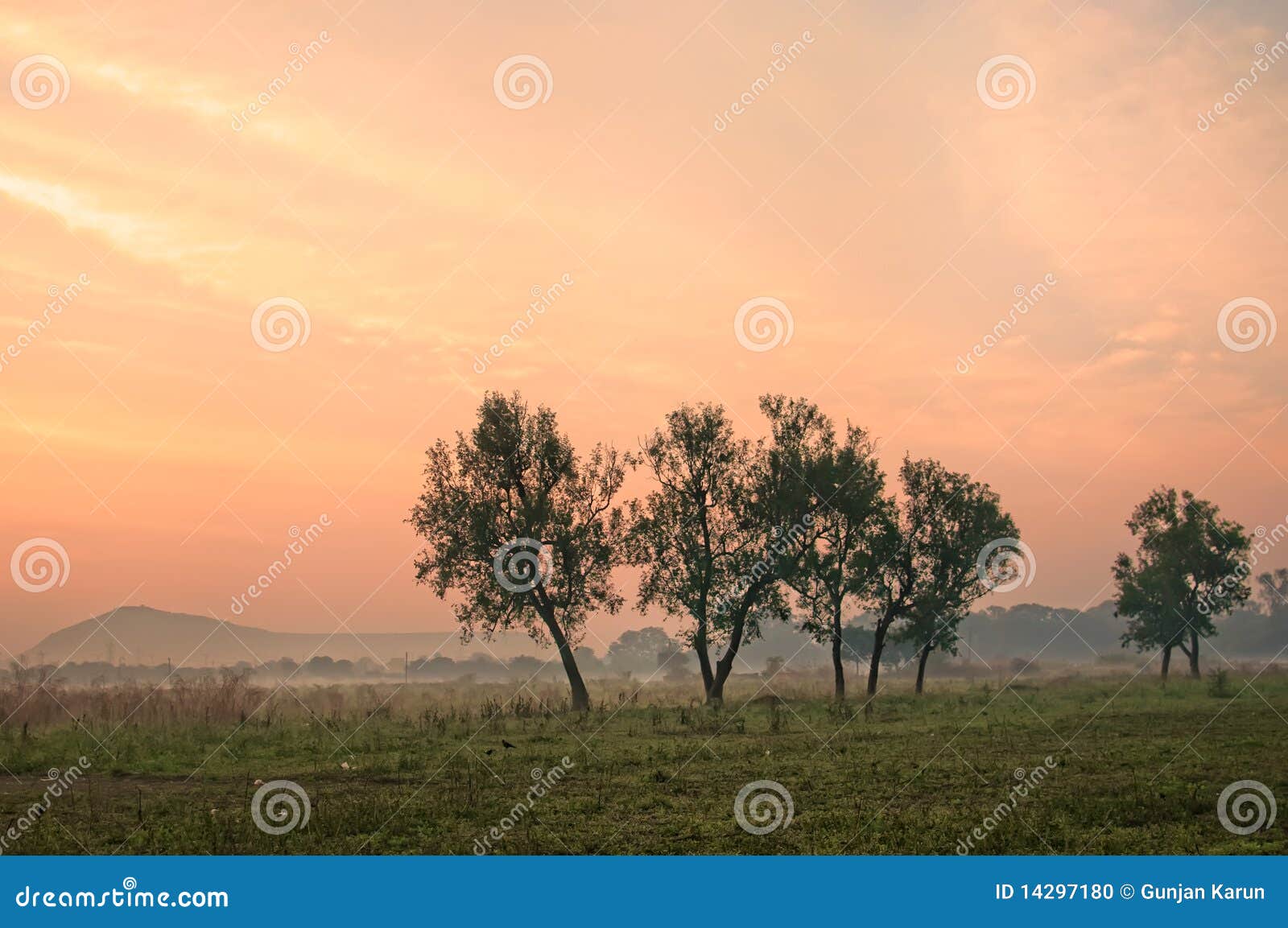 Sunset Over Countryside Trees Stock Photo - Image of tranquility, trees ...