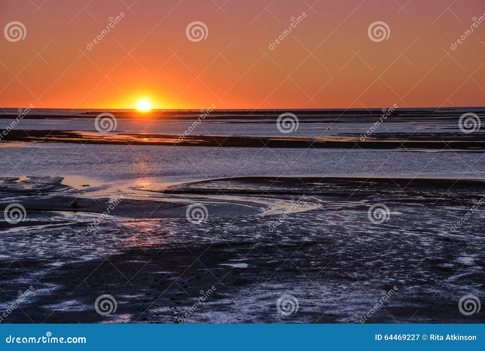 Sunset over delta wetlands stock image. Image of tide - 64469227