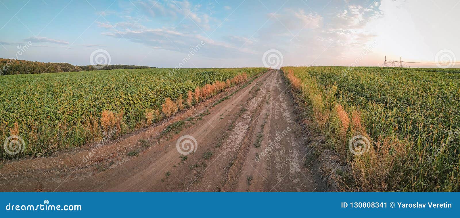 Sunset Over Dirt Road at Wheat Field Stock Image - Image of green ... Sunset Over Dirt Road at Wheat Field Stock Image - Image of green ...