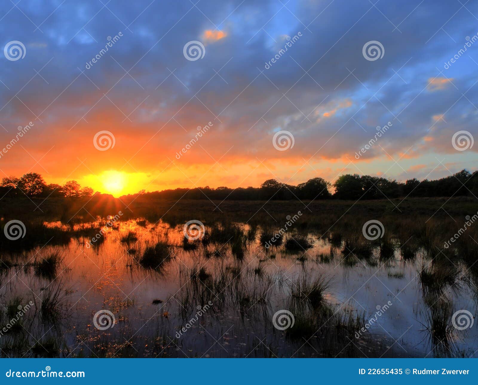 Sunset Over Dutch Heathland Stock Image - Image of rainy, purple: 22655435